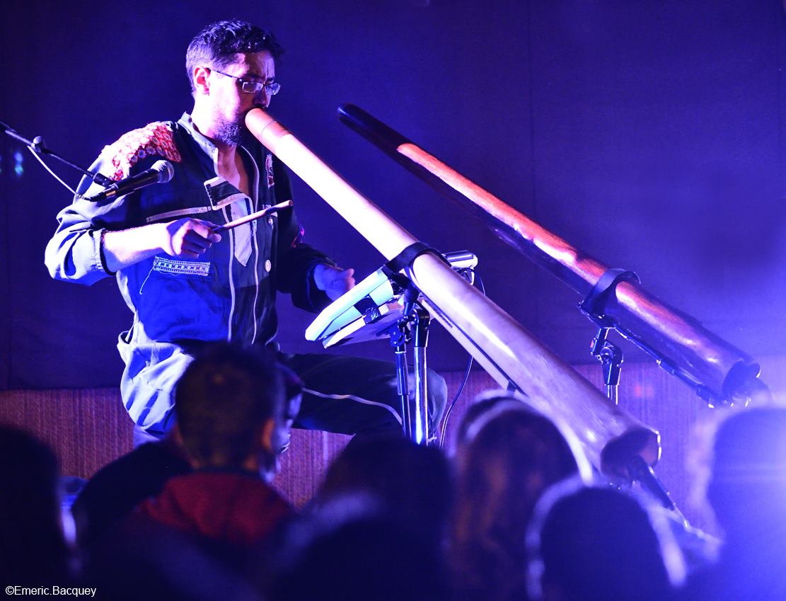 Concerts - NomaDidge